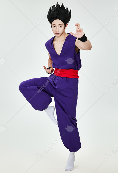 Men Gohan Costume - Top and Pants Set with Belt and Wrist Guards Dragon ...