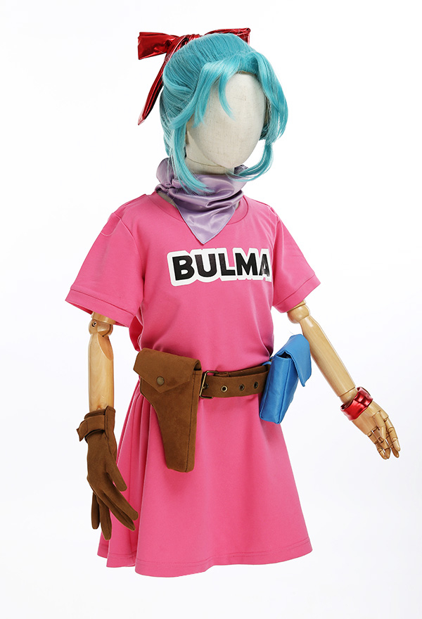 Dragon Ball Bulma Costume