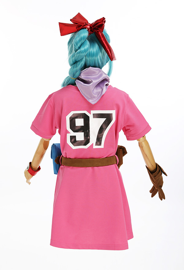 Dragon Ball Bulma Costume