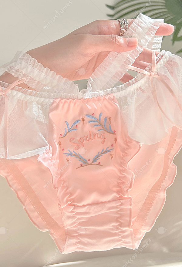 Women Sexy Lingerie Briefs - Low Rise Embroidery Ruffle Tulle ...