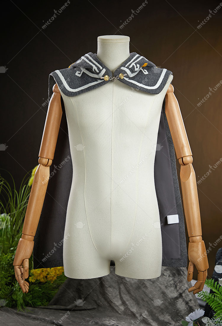 Premium Ver The Legend of Zelda Link Cosplay Accessory - Cape Costume ...