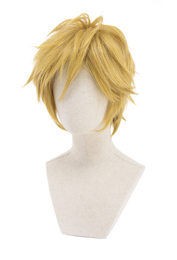 The Legend of Zelda Link Cosplay Wig For Sale
