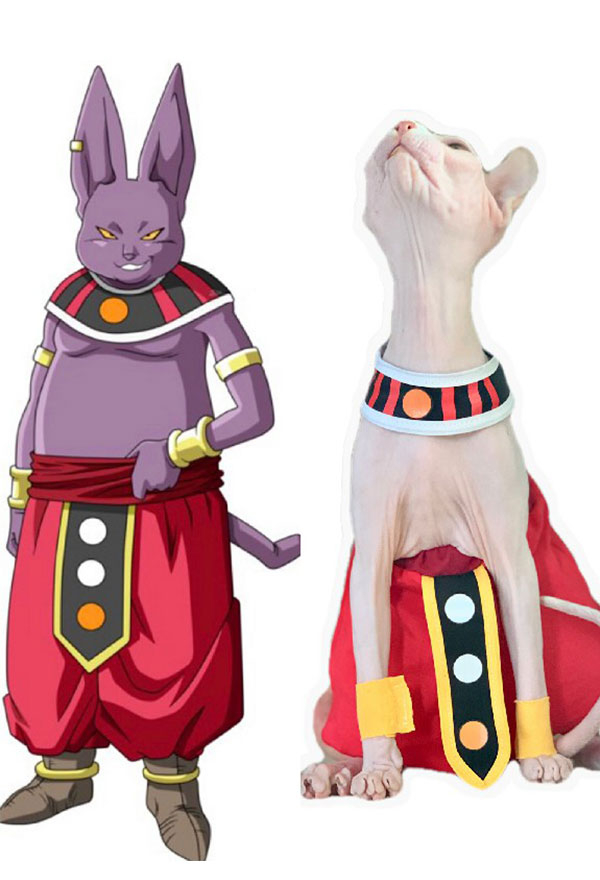 Costumes De Chat Accessoire Pour Sphynx Chat Pets Beerus Champa
