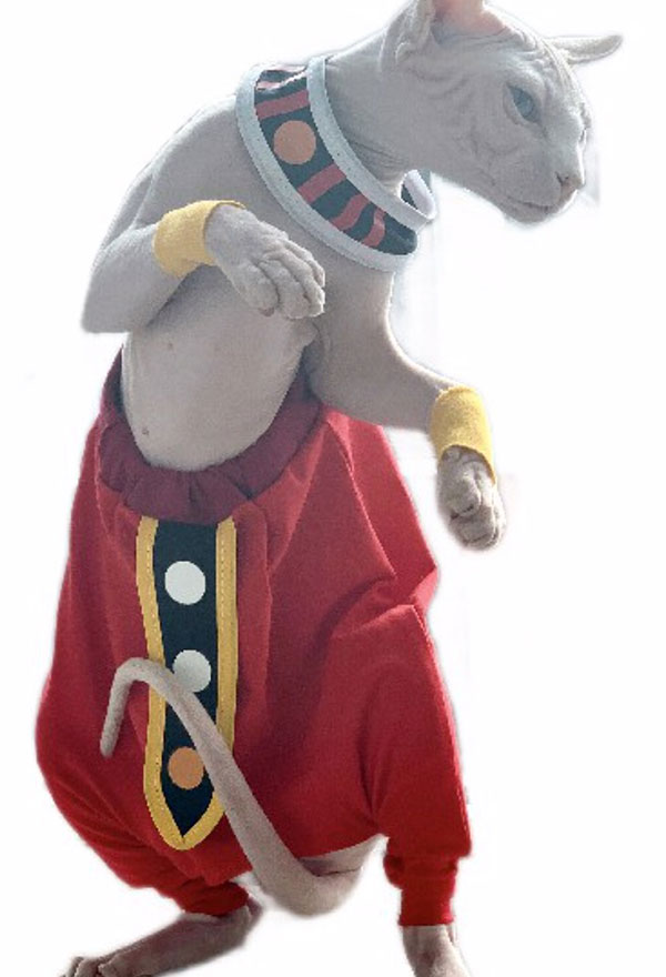 Beerus Derivative Cat Costume - DB Anime Funny Pet Costume | Top ...