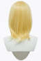 Howl's Moving Castle Howl Cosplay Wig