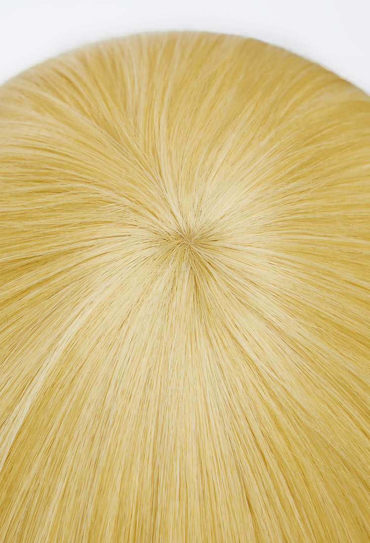 Howl's Moving Castle Howl Cosplay Wig