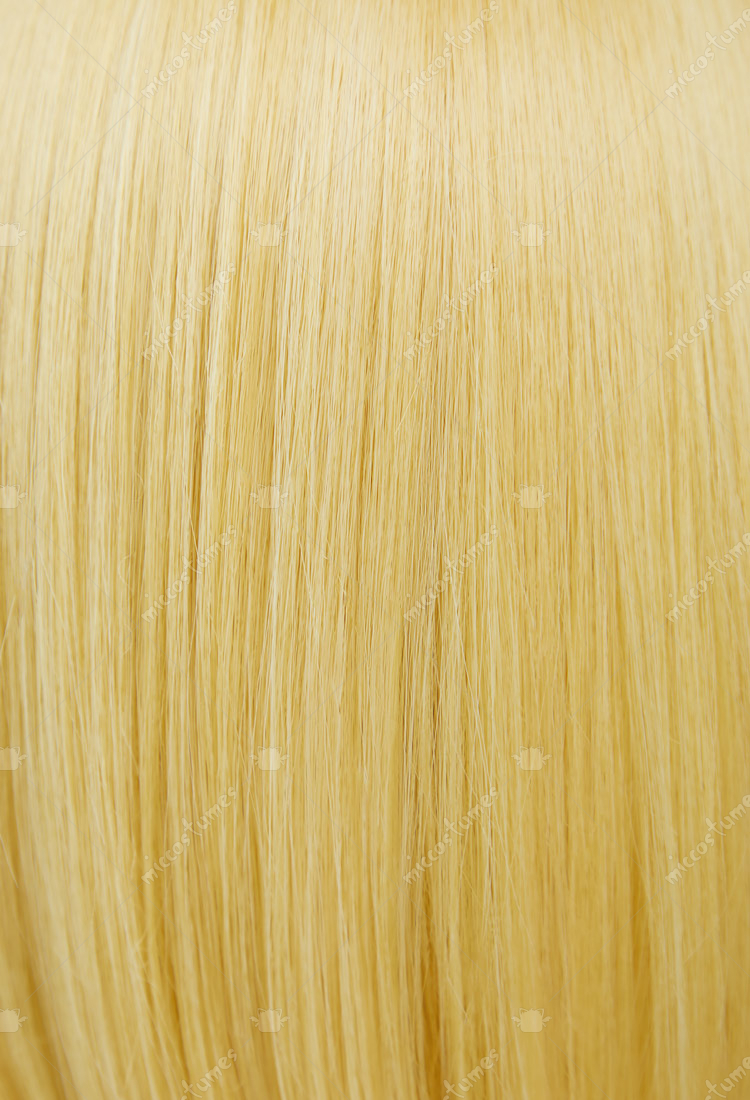 Howl's Moving Castle Howl Cosplay Wig